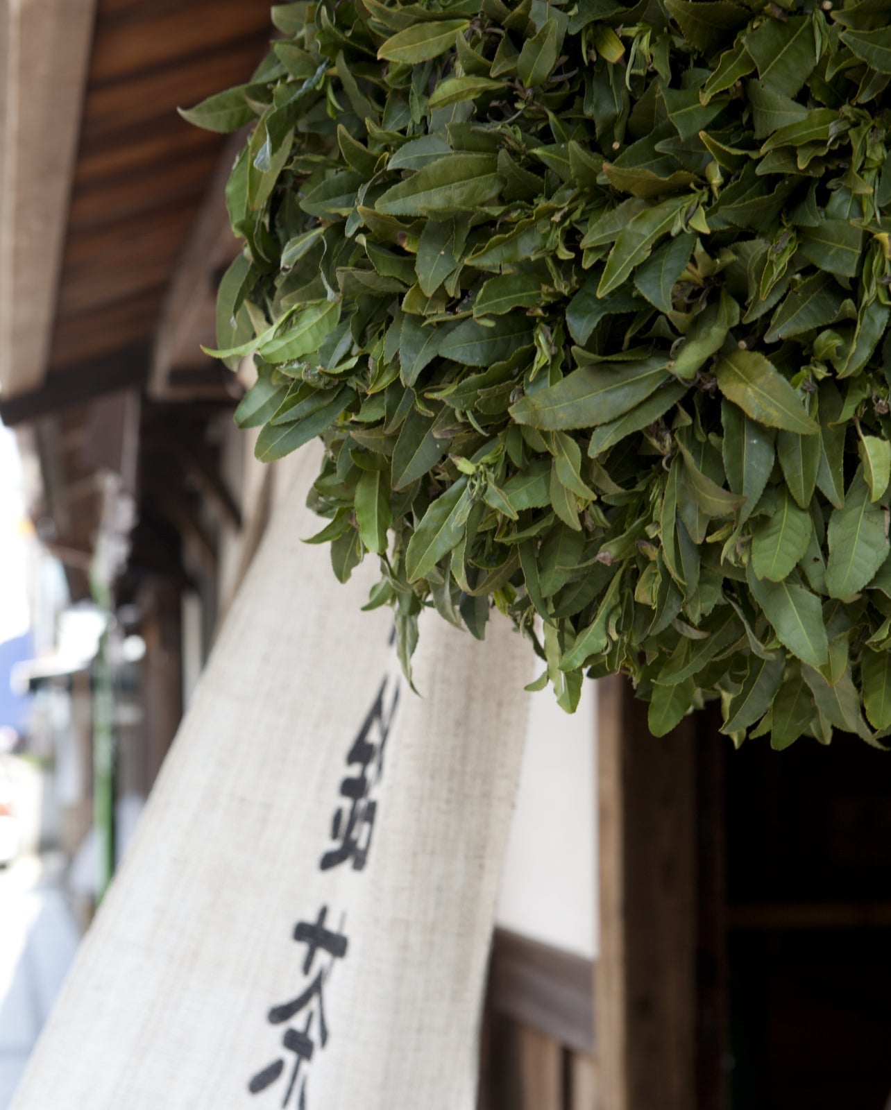 About Nakamura Tokichi Main Store – NAKAMURA TOKICHI HONTEN ONLINE STORE