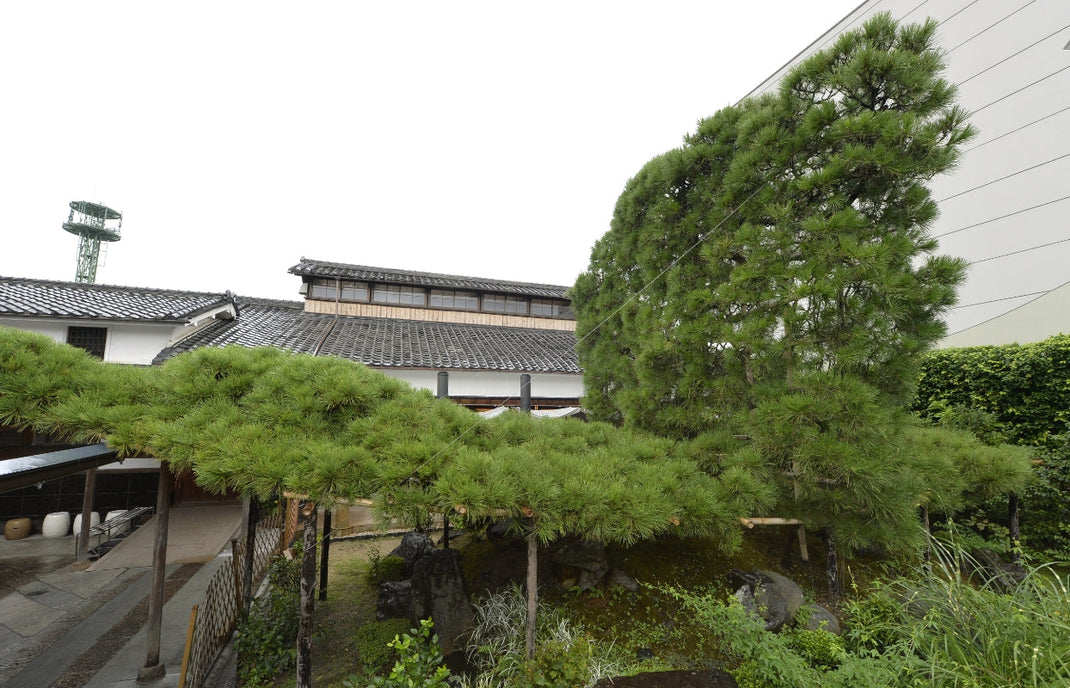 About Nakamura Tokichi Main Store – NAKAMURA TOKICHI HONTEN ONLINE STORE